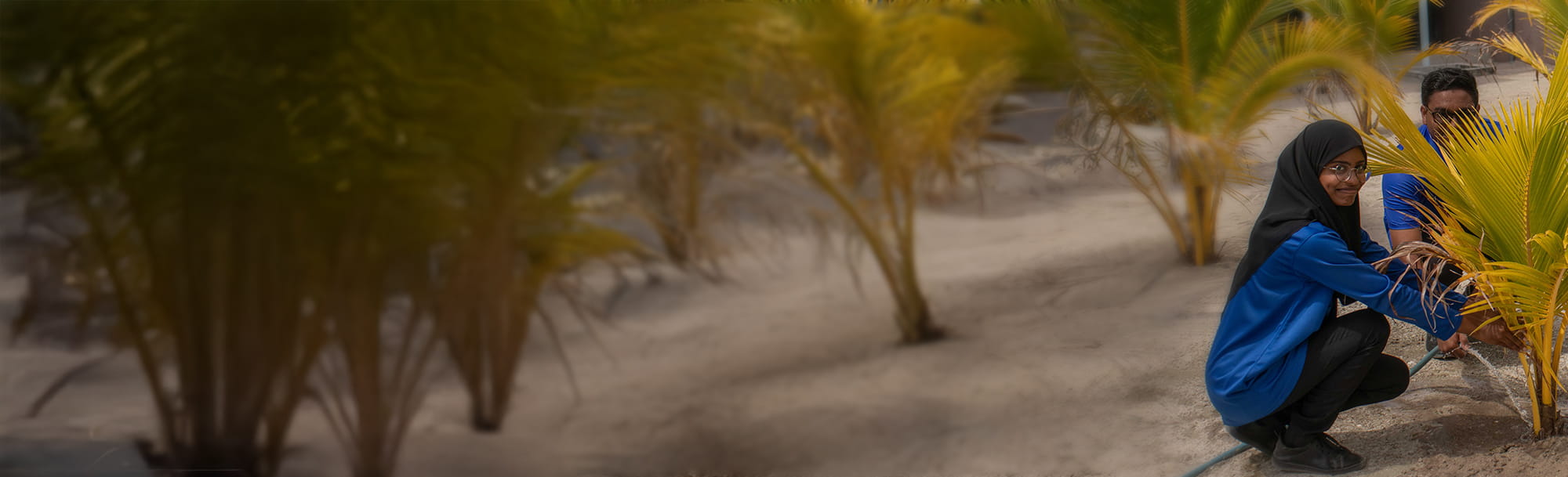 Zayed Sustainability Prize