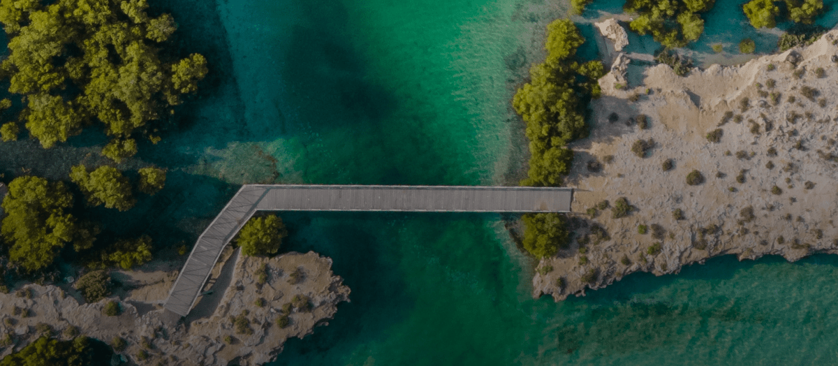 Zayed Sustainability Prize