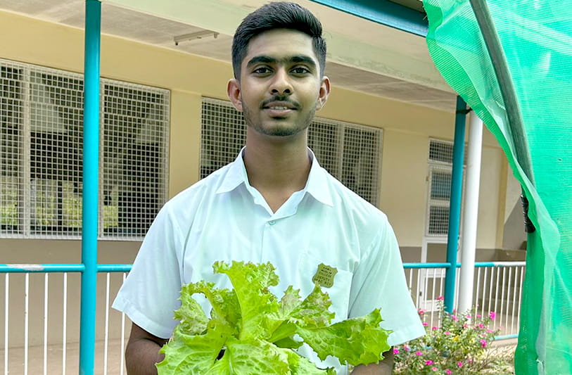 Zayed Sustainability Prize